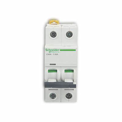 Schneider AC safety Breaker 20A|32A|63A Double pole | Daraz.pk