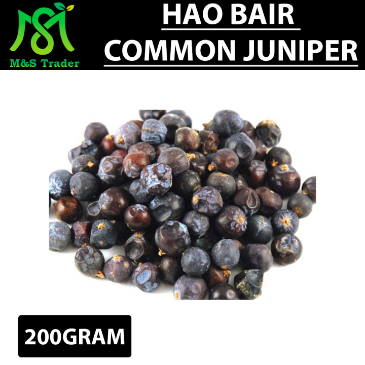Hao Bair / Common Juniper / Juniper Berries / / Abhal 200 GM | Daraz.pk