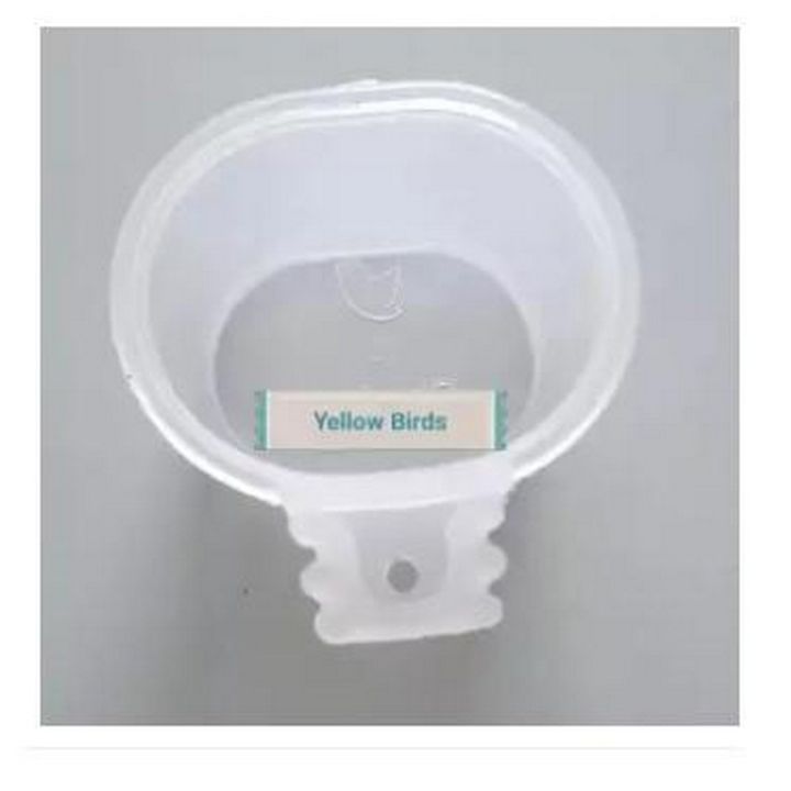 Grit pot 10 pices | Daraz.pk: Buy Online at Best Prices in Pakistan ...