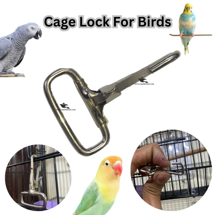 Cage Lock – Steel Security for Bird & Pets Cages | Daraz.pk