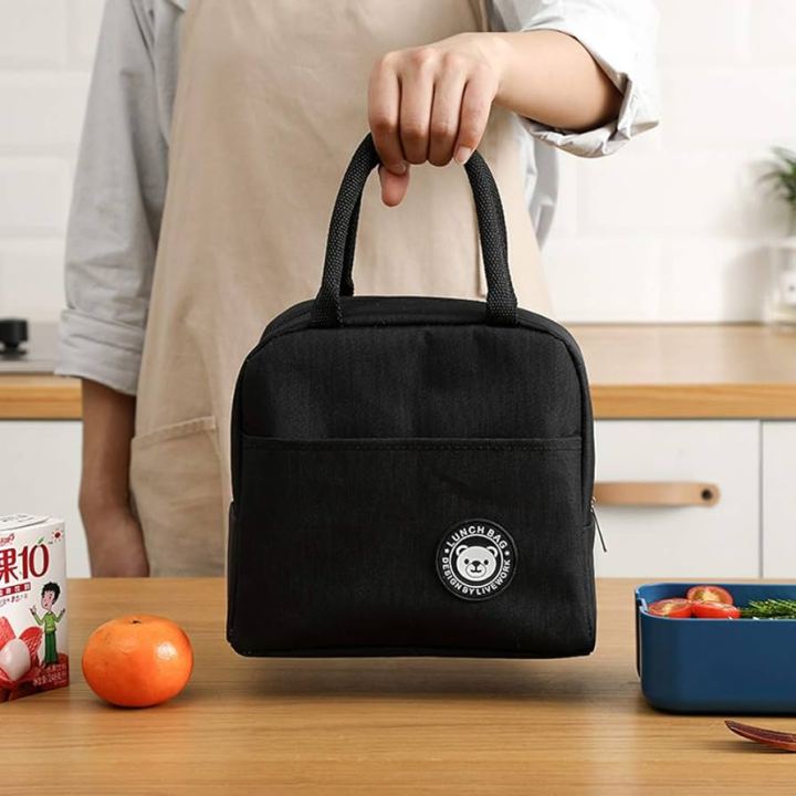 Insulated Lunch Food Box Bag To Keep Food Hot or Cold For Picnic ...