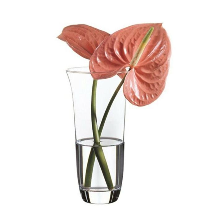 Pasabahce Botanica Vase - 43326 | Daraz.pk