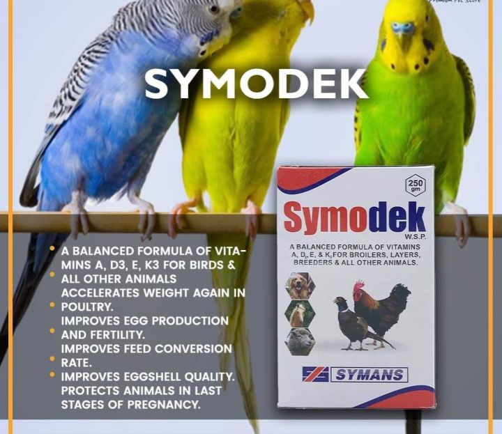 Symodek Vitamin ADEK Symans - For Parrots Finches Poultry Chicken ...