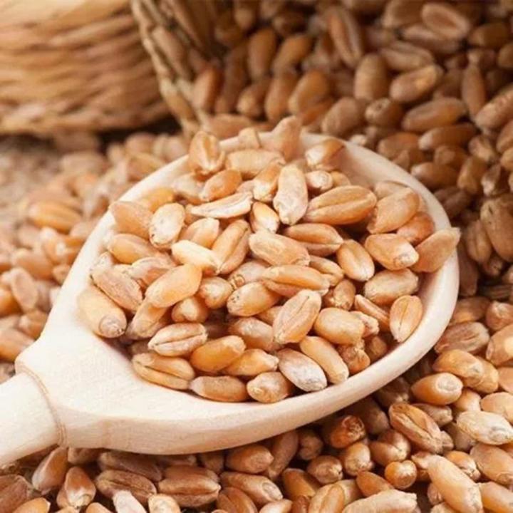 White Wheat / Gandum - 5KG | Daraz.pk