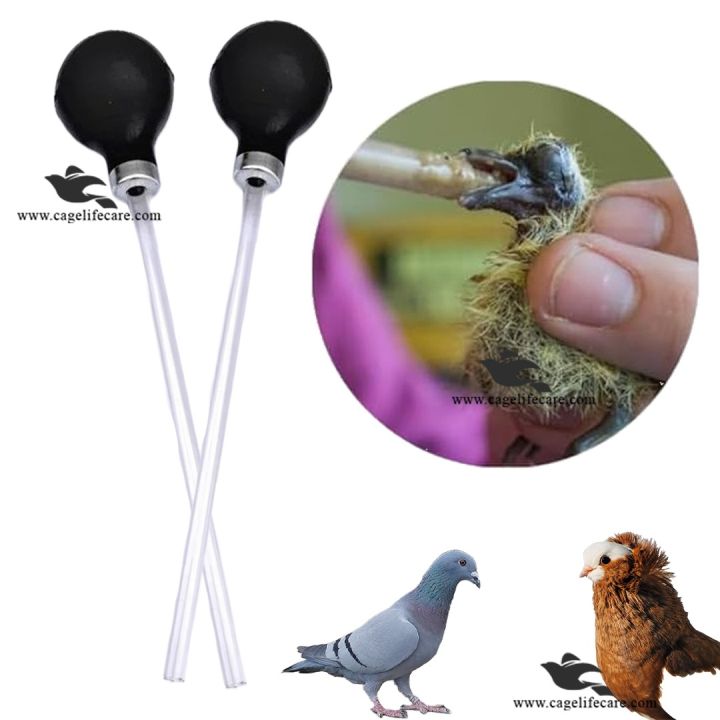 Piegon Seed Feeder, Pigeon Seed Pump ( PIGEON HAND FEEDING TOOL ...