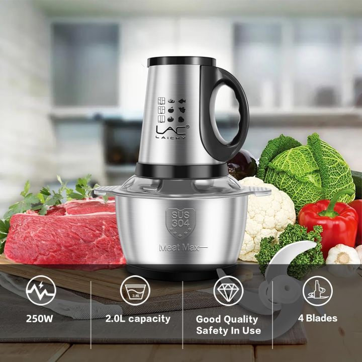 Food Processor & Meat Grinder – 250W Powerful Electric Vegetable & Meat ...