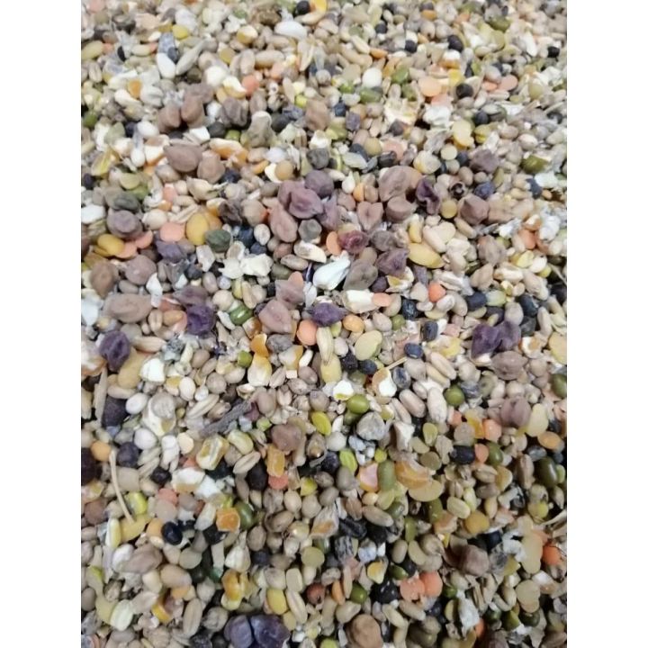 Daal Dana For Pigeon Hen Ducks 1kg | Daraz.pk