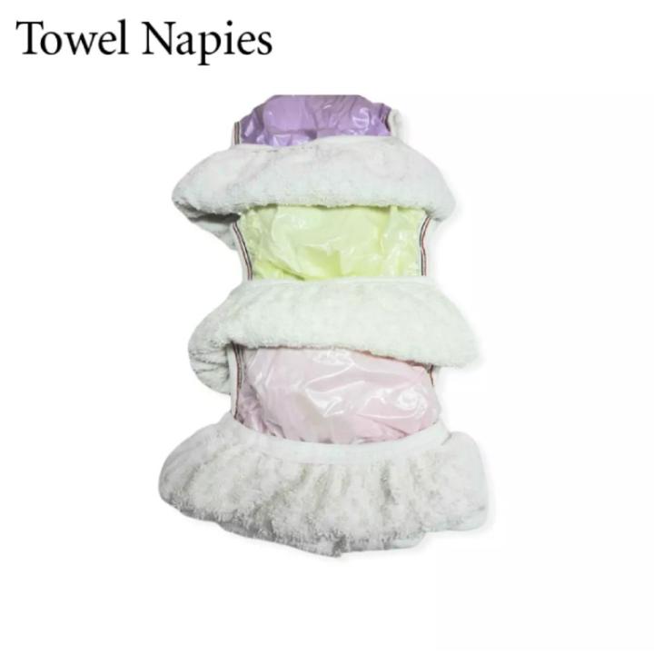 Pack of 3 Pcs Set - Baby Washable Nappy - Plastic Waterproof Inner ...