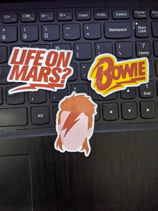 25 pcs DAVID BOWIE stickers based on david bowie the 90s retro punk ...