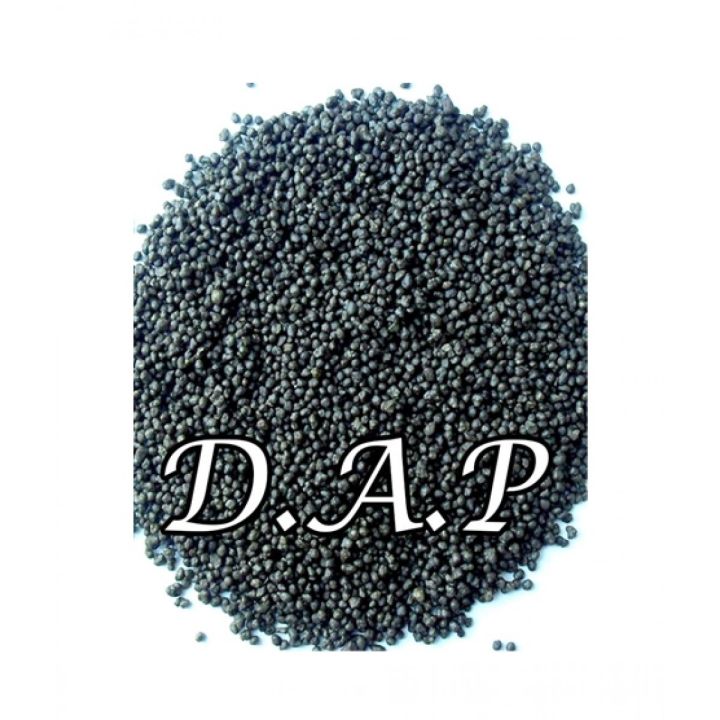DAP Imported Fertilizer 500Grams | Daraz.pk