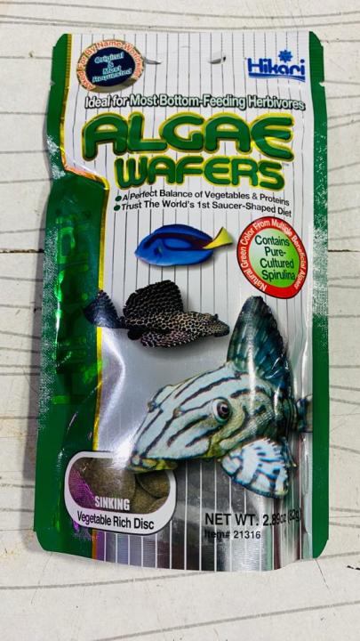 Sinking Algae Wafers, 82G 100% ORIGNAL Hikari Fish Food | Daraz.pk