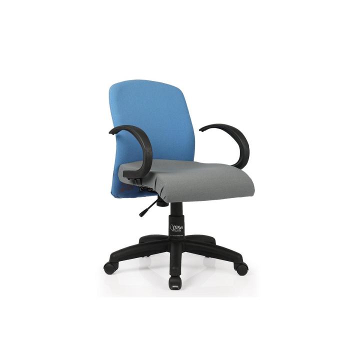Aura Low Back Chair | Daraz.pk
