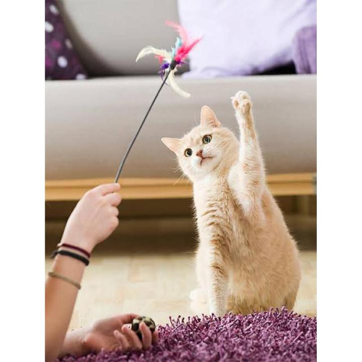 Cats Playing and teasing feather Stick | Daraz.pk