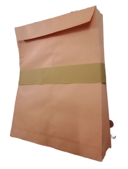 Good Quality A4 Brown Envelopes | 25 Pcs | Office Envelope | Khaki ...