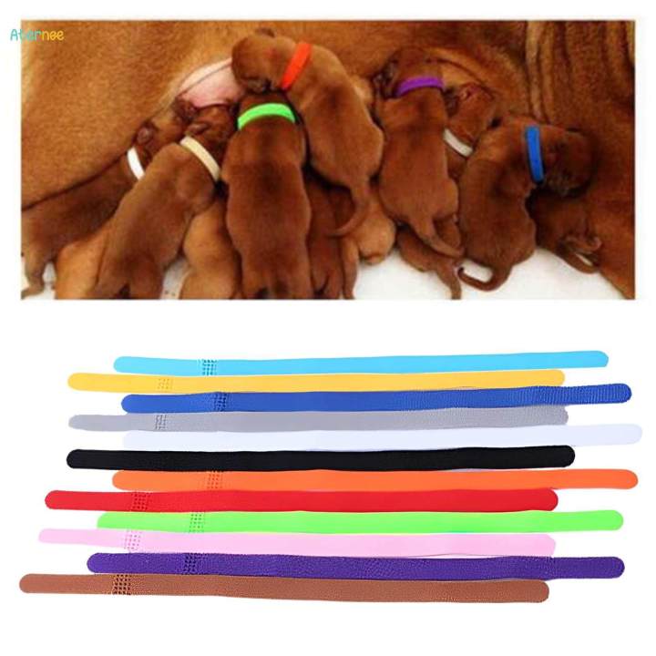 12 Pieces Identification Puppy Collar Newborn Puppy ID Collars for Cat ...