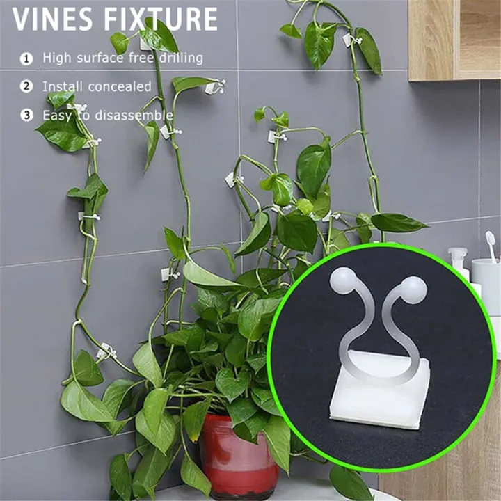 10PCS Hook Plants Holder Greenhouse Bracket Wall Vines Rattan Clamp ...