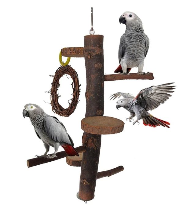 Wood Parrot Play Stand, Nature Wooden Parrot Bird Fork Stand, Natural ...