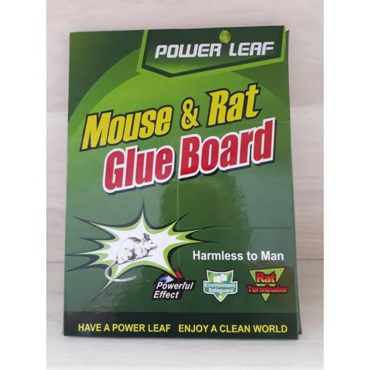MOUSE & RAT GLUE TRAP(PACK OF 2) | Daraz.pk