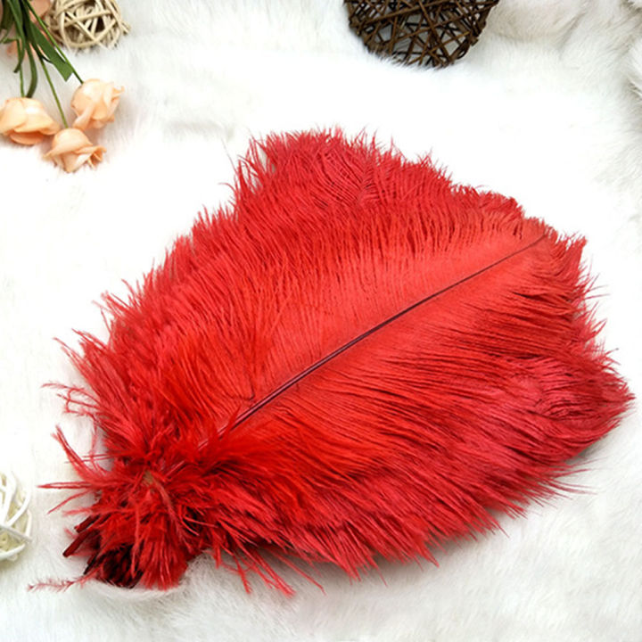 Ostrich Feather | Daraz.pk: Buy Online at Best Prices in Pakistan ...