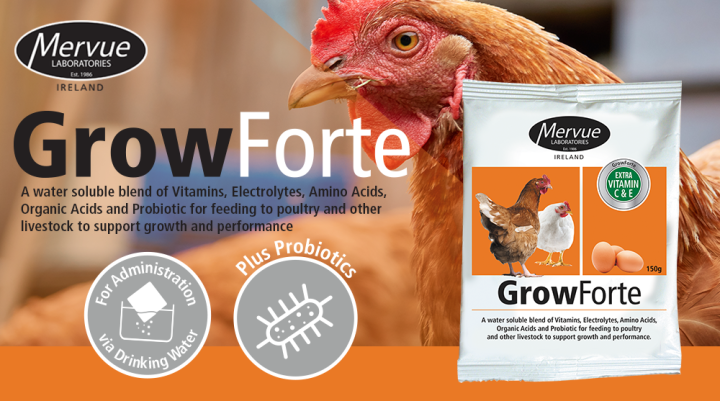 Grow Forte (150 GRAMS) MULTIVITAMINS FOR PARROTS AND HENS | Daraz.pk