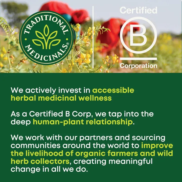 Traditional Medicinals Organic Green Tea Peppermint Tea, 16 Tea Bags ...