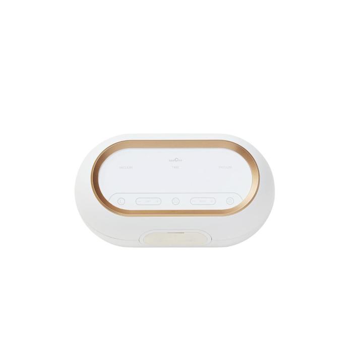 Spectra Dual Compact Hospital Grade Electric And Rechargeable Breast ...