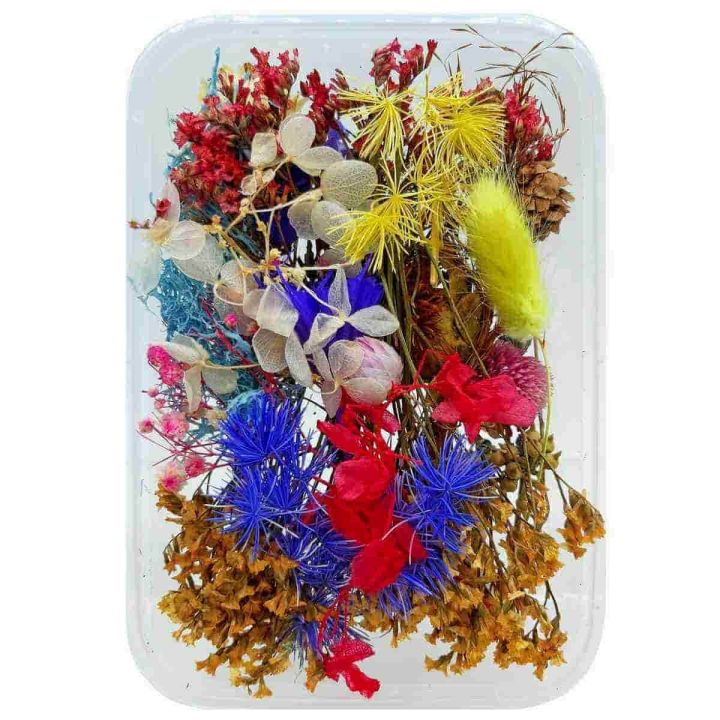 Dried Flowers for Resin | Daraz.pk