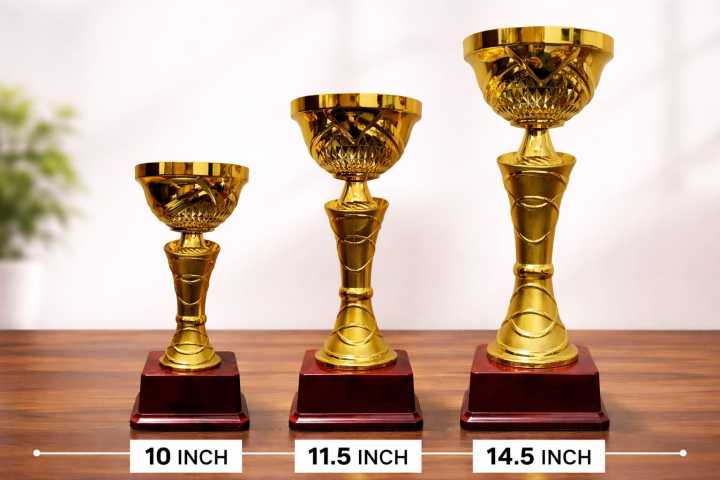 Premium Gold Winner Trophy 10 inch 11.5 Inch,14.5 inch | Elegant ...