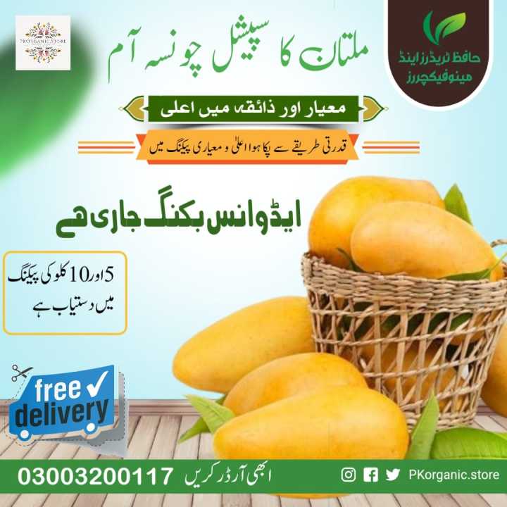 Special Multani Chounsa Mango (Aam), (5-10 Kg Packing, Premium Quality ...