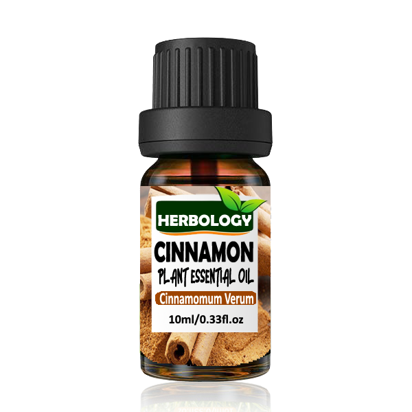 Herbology Cinnamon Aromatherapy Essential Oil 100% Pure Therapeutic ...