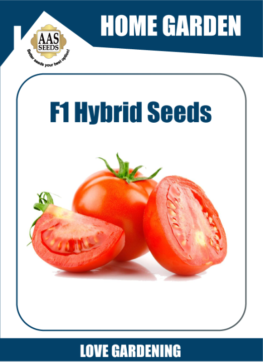 Tomato F1 Hybrid Seeds AAS Seeds | Daraz.pk