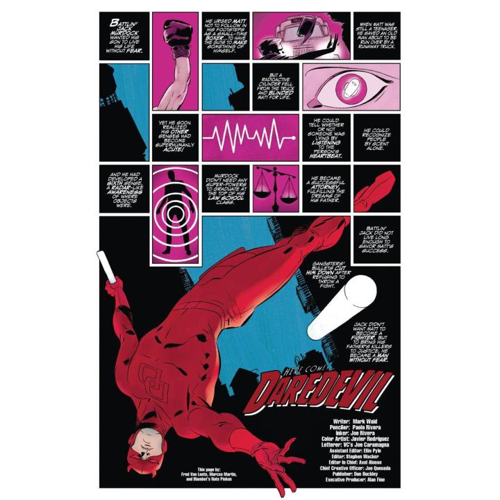 Daredevil by the Marvel MCU 2.0 Multiverse Fan Posters Vinyl Paper ...