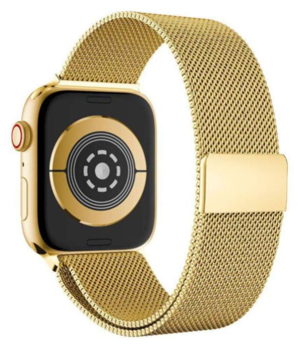 Chain Strap Magnetic Lock-GOLDEN 42 / 44 mm Strap / Premium Built ...