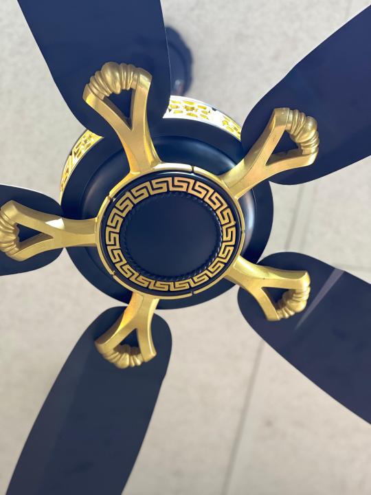 Ceiling Fan Marvel Model (Luxury Series). 220v 55W Or AC/DC 48W or 30W ...