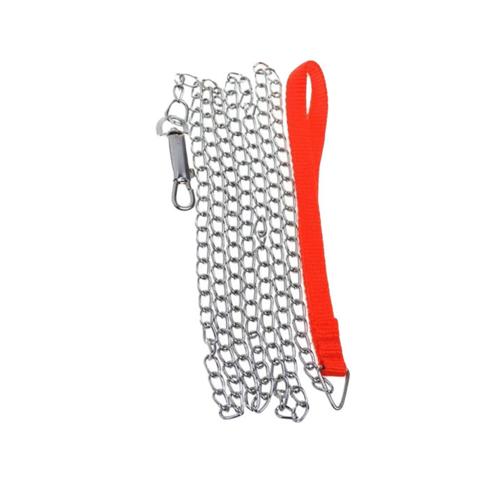 Cat Walking Chain Lead 4feet | Daraz.pk