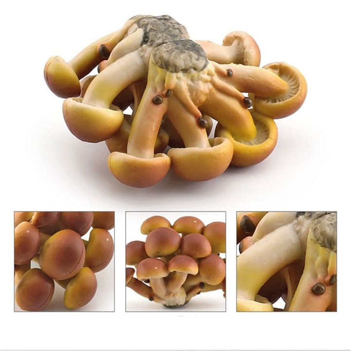 DIY Farming Toys Vegetable Model Fungus Figurines Matsutake Oyste ...