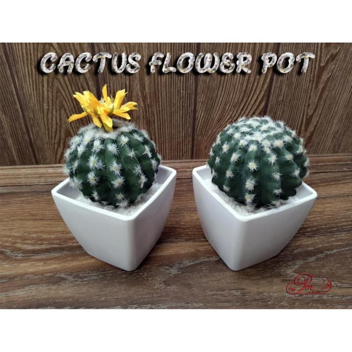 Table Ceramic Cactus Vase , Plant Pot for Home Decor Centerpieces With ...