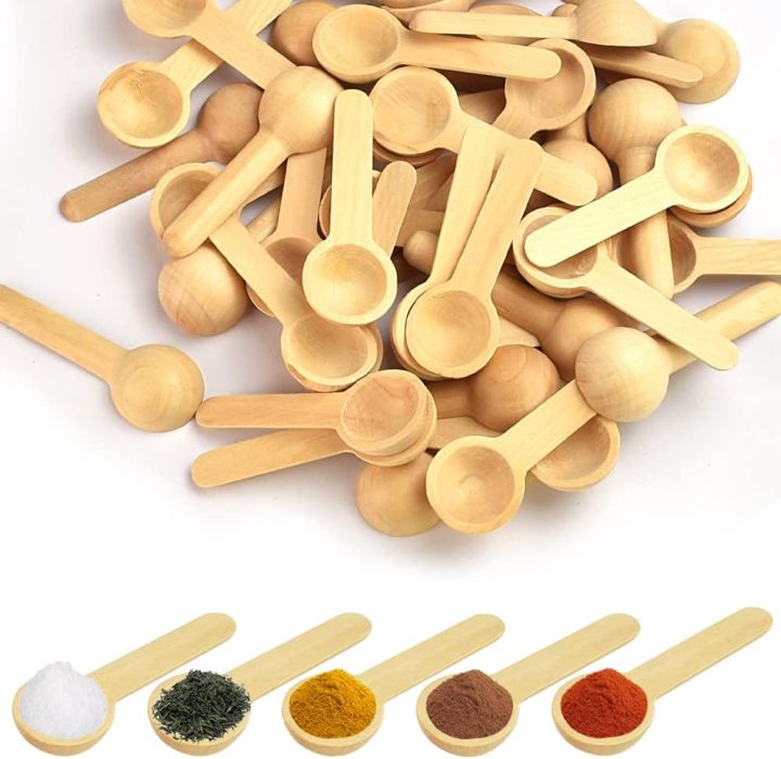 6 Pcs Mini Wooden Salt Spoons Seasoning Scoop Small Condiments Spoons ...